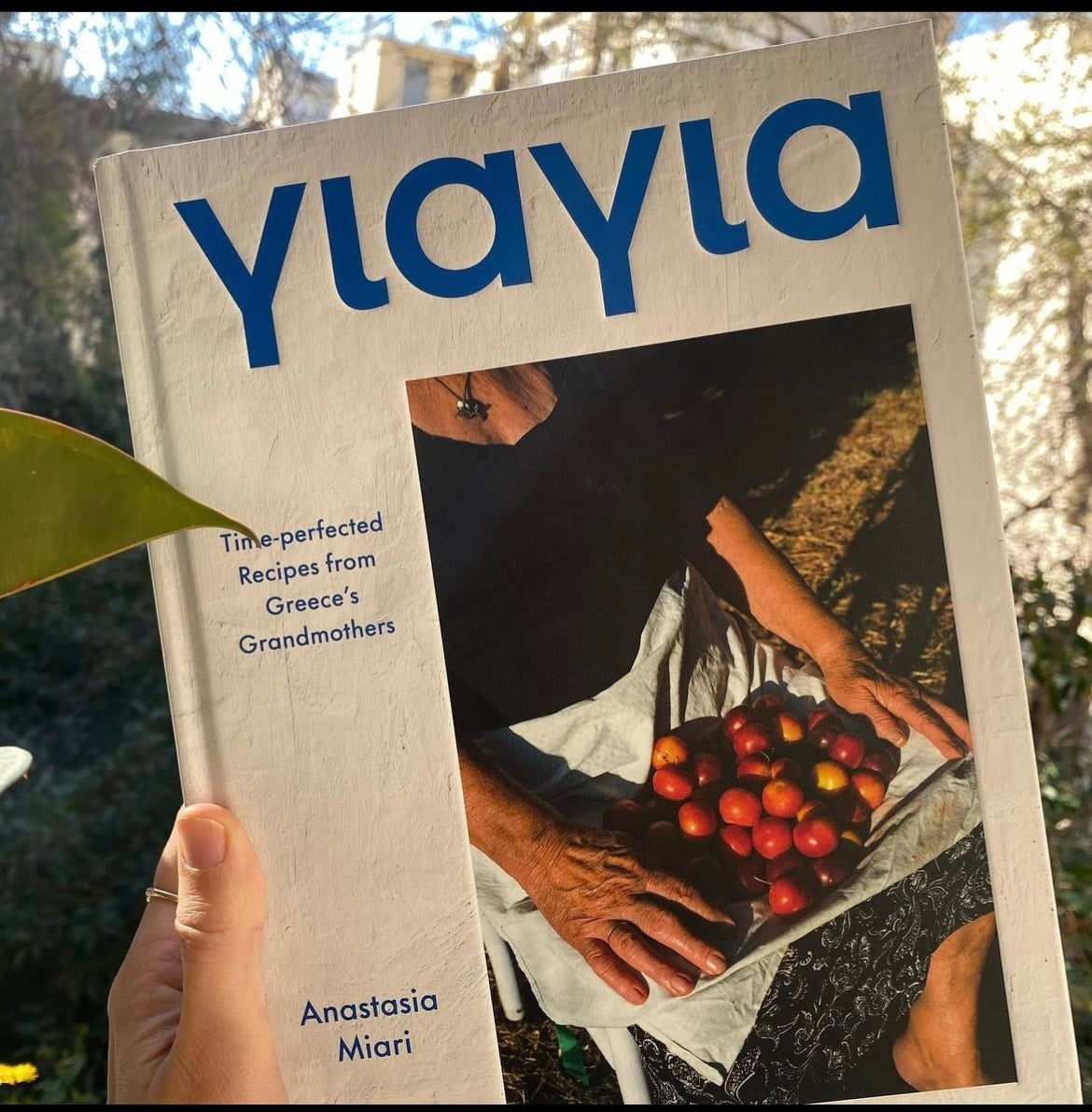 Yiayia Cookbook | Taste & Art of Greece